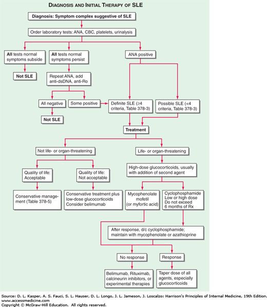 SLE, Management (2) : 네이버 블로그