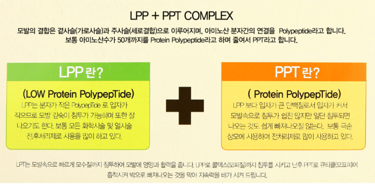 LPT?LPP?PPT? 넌 뭐냐? : 네이버 블로그