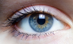 생체렌즈(Ocumetics Bionic Lens)20/20보다 3 배의 시력. : 네이버 블로그