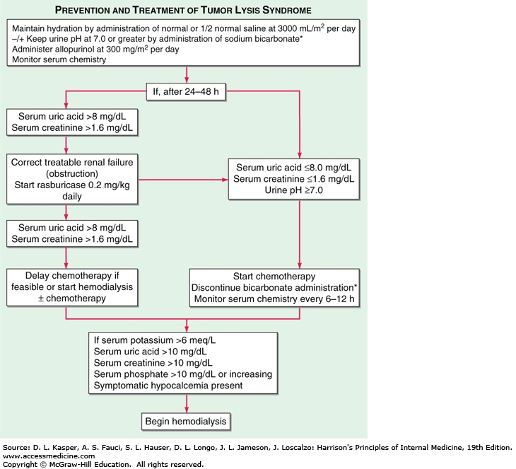 종양 용해 증후군, Tumor lysis syndrome (TLS) : 네이버 블로그