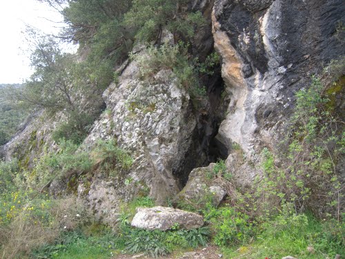 스파르타 : 네이버 블로그