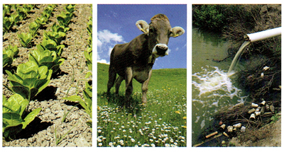 Merck / 머크 GC용(Gas chromatography) Solvent 폭넓은 선택 하세요! : 네이버 블로그