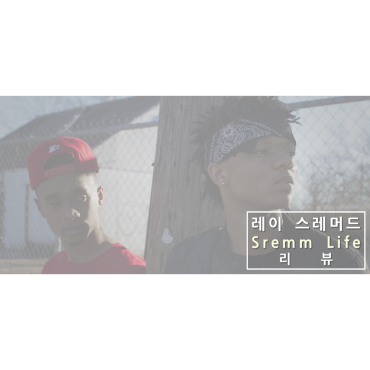 레이 스레머드 Sremm Life 리뷰 : 네이버 블로그