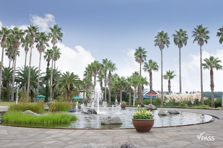 제주도 서귀포시 중문관광단지 여행시 빠질 수 없는 곳 '주상절리, 여미지식물원' : 네이버 블로그