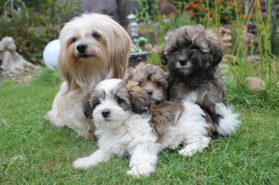 카이 레오(Kyi Leo) : 네이버 블로그