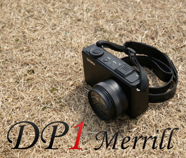 화질의 끝판왕 시그마 DP1m 사용후기 -Sigma DP1 merrill - : 네이버 블로그