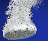 발포정 effervescent tablet. CO2 생성 : 네이버 블로그