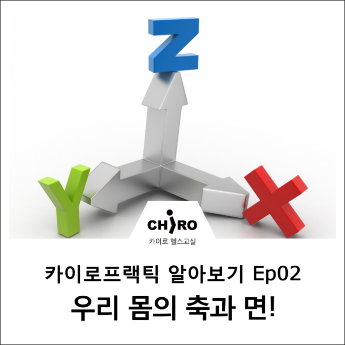 당산 교정 카이로프랙틱 알아보기 Ep02 몸의 축과 면 네이버 블로그