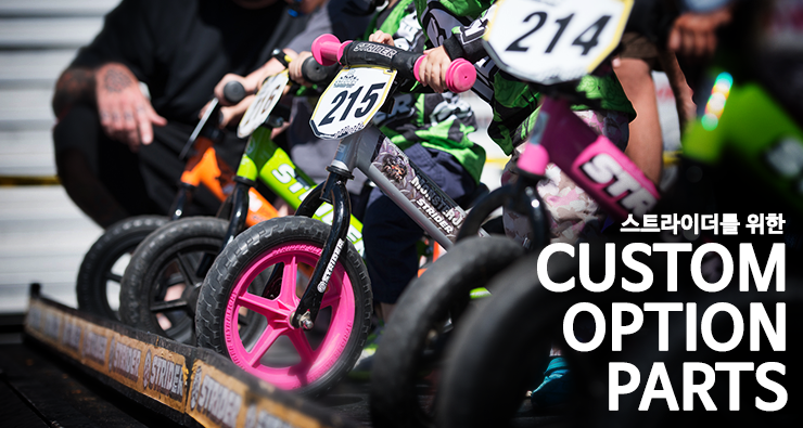 컬러휠(STRIDER Color Wheel). 대전 스트라이더 전문점 : 네이버 블로그