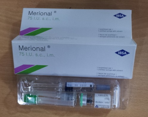 인체 폐경기 성선자극호르몬(hMG) 주사 - 메리오날 (Merional) : 네이버 블로그