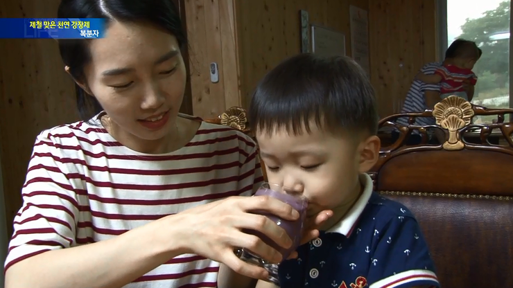 고창복분자 복분자먹는방법 복분자원액 가장 효과적으로 먹는법 네이버 블로그