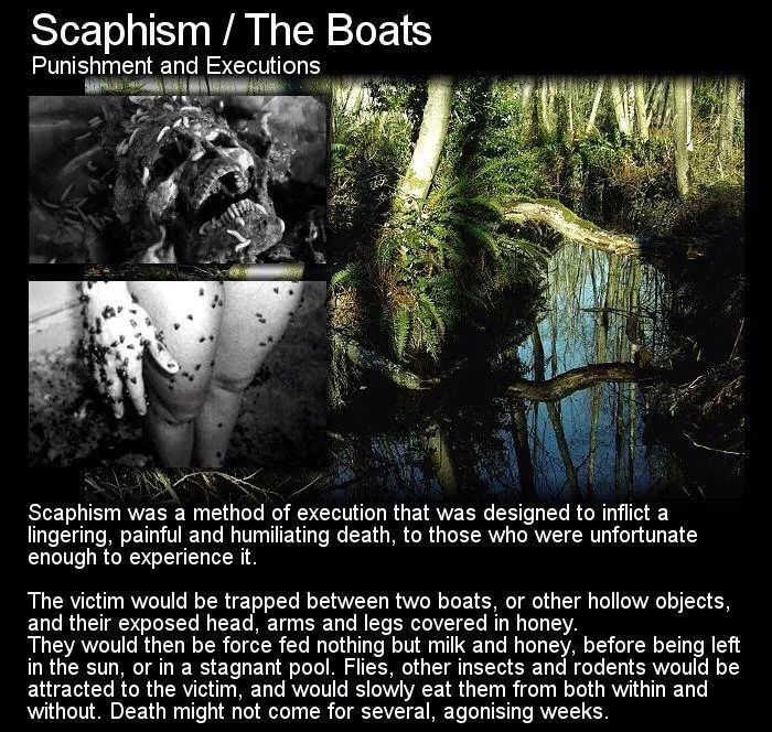 [History] 잔인한 사형법 - 스카피즘 (Scaphism) : 네이버 블로그