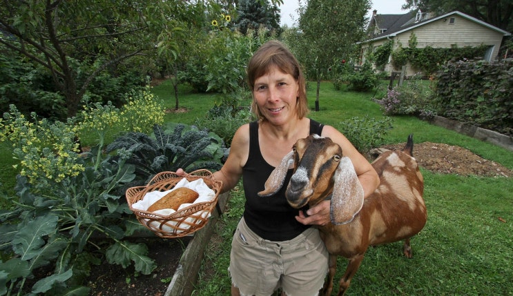 [영상(Video)] I am Bread + Goat Simulator = GOAT BREAD : 네이버 블로그