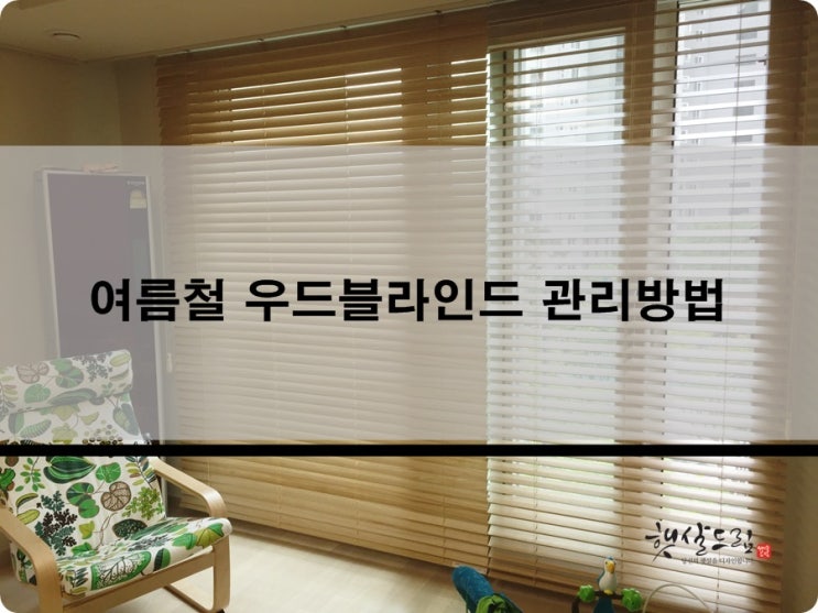 우드블라인드 관리방법 여름철 우드블라인드 관리방법에 대해 알아보아요 네이버 블로그