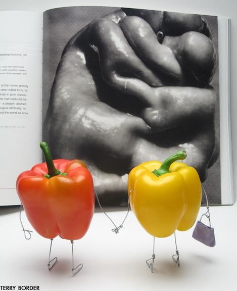 일상소재를 유머러스하게, Terry Border (테리 보더) : 네이버 블로그