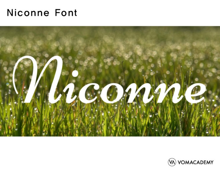 [영문폰트] 캘리그라피폰트 / 멋스러운 레트로 감성필기체 폰트 niconne-font : 네이버 블로그