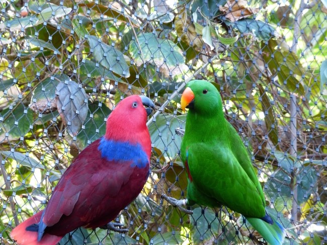 남북한 교류 - 진짜 필요한 것을 나눠가져야 교류인 것이다. : 네이버 블로그