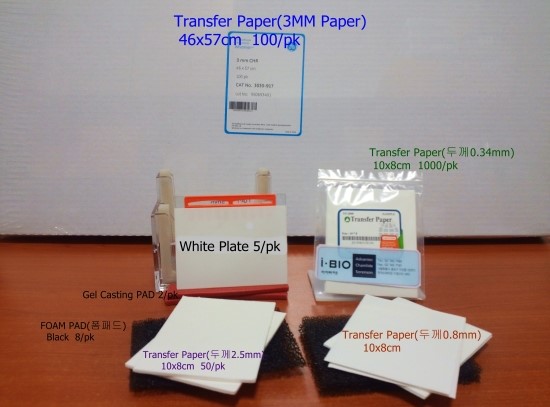 Transfer Paper (Southern , Western, Northern Transfer blot) : 네이버 블로그