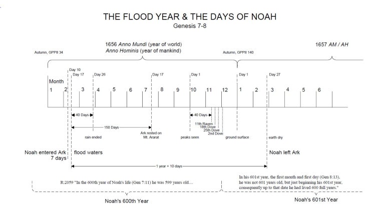 The meaning of Noah's Flood timeline : 네이버 블로그