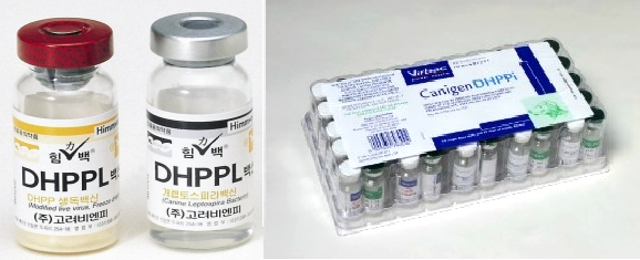 종합백신 DHPPL 과 DHPPi 의 차이점? 1차로 DHPPL 접종 후 2차로 DHPPi를 접종해도 될까요? : 네이버 블로그