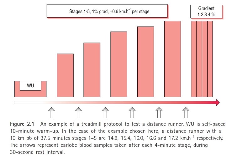 Chapter 2. Training specificity : 네이버 블로그
