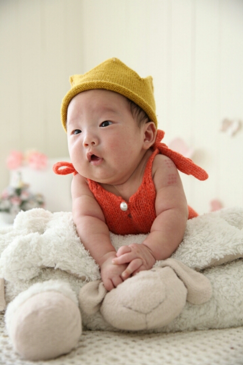 베일리수,성장앨범,베일리수촬영,50일촬영,생후50일 : 네이버 블로그