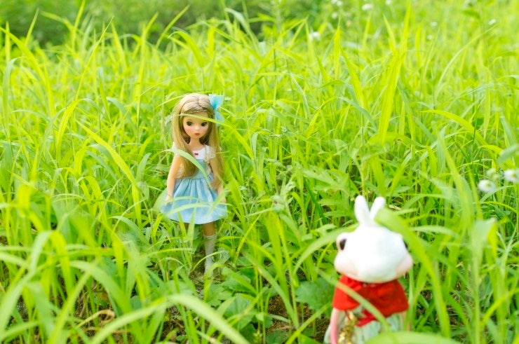 Alice in Wanda-land : 네이버 블로그