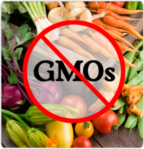 국내 Non-GMO 인증제 도입에 관한 의견 : 네이버 블로그