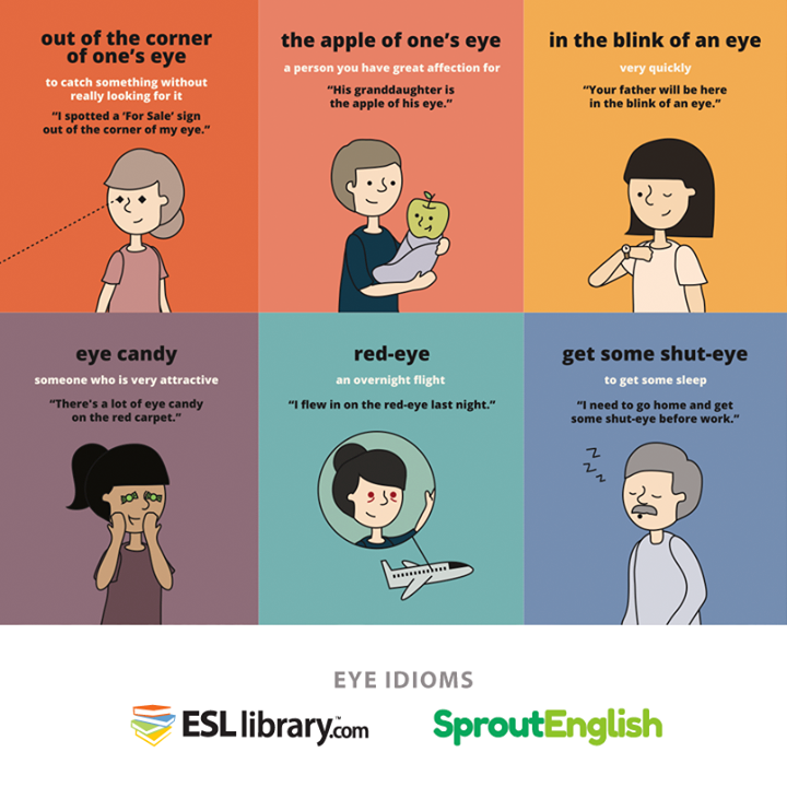 EYE : 네이버 블로그