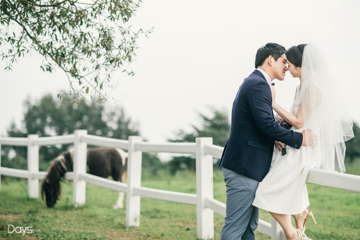 대구 셀프웨딩 데이즈스냅 대구 : 네이버 블로그
