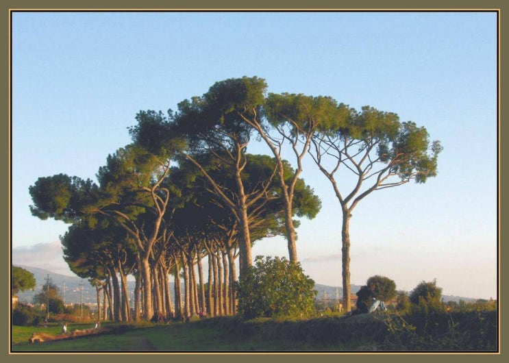 오토리노 레스피기 - 교향시 로마의 소나무 // Ottorino Respighi - Pines of Rome (Pini di ...
