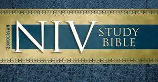 NIV 영어성경의 신뢰성 문제 : 네이버 블로그