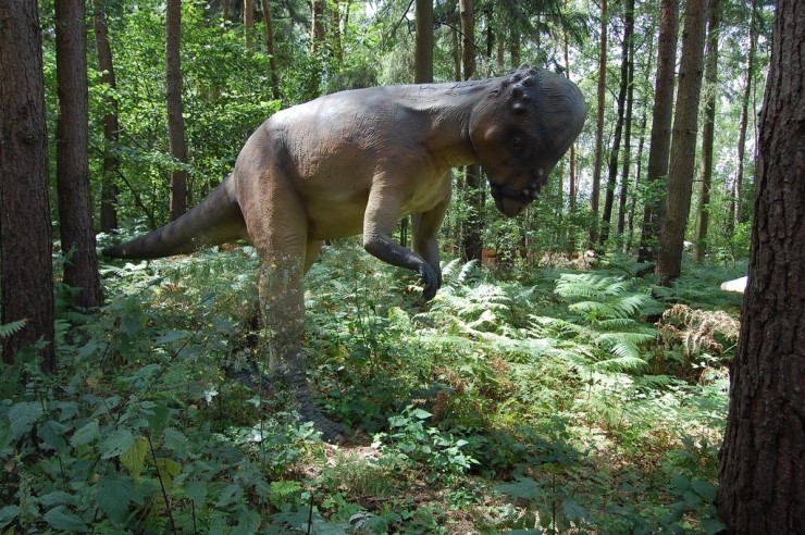 박치기 공룡 파키케팔로사우루스[Head butt dinosaur Pachycephalosaurus] : 네이버 블로그