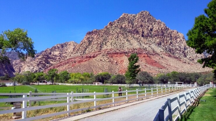 Spring Mountain Ranch State Park | 라스베가스 근교 나들이, 스프링 마운틴 랜치 주립공원 : 네이버 블로그