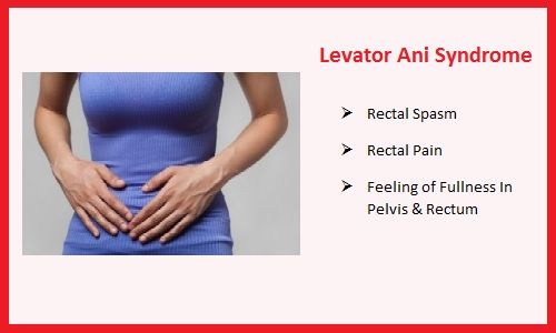 항문올림근 통증증후군 - Levator ani pain syndrome : 네이버 블로그