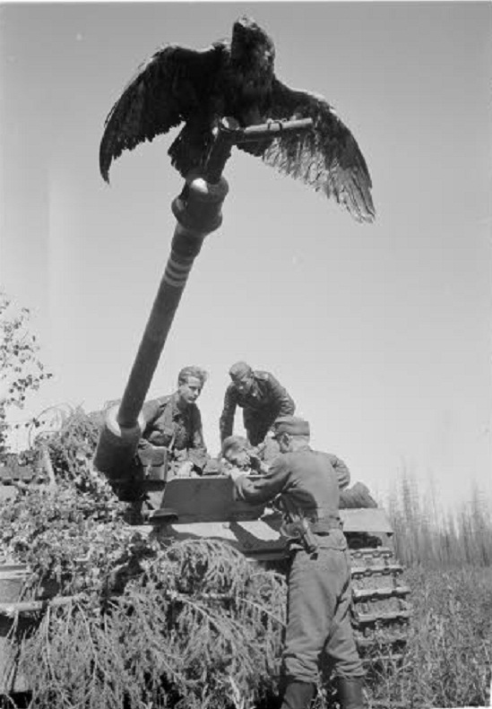 핀란드군 슈트름게슈쯔 3호 돌격포의 마스코트 송골매[Finnish assault gun crew Sturmgeschutz ...