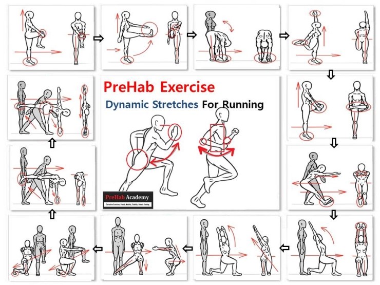 런너를 위한 Dynamic Stretches For Running 를 활용한 퍼포먼스 향상을 위한 트레이닝 방법 : 네이버 블로그