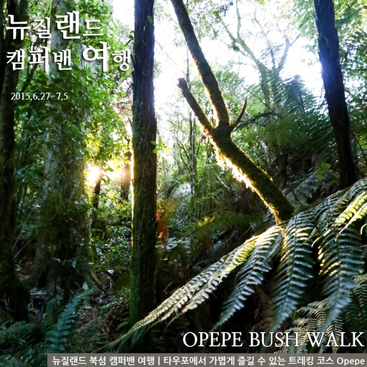 뉴질랜드 북섬 타우포에서 가벼운 트레킹을 즐길 수 있는 Opepe walk : 네이버 블로그