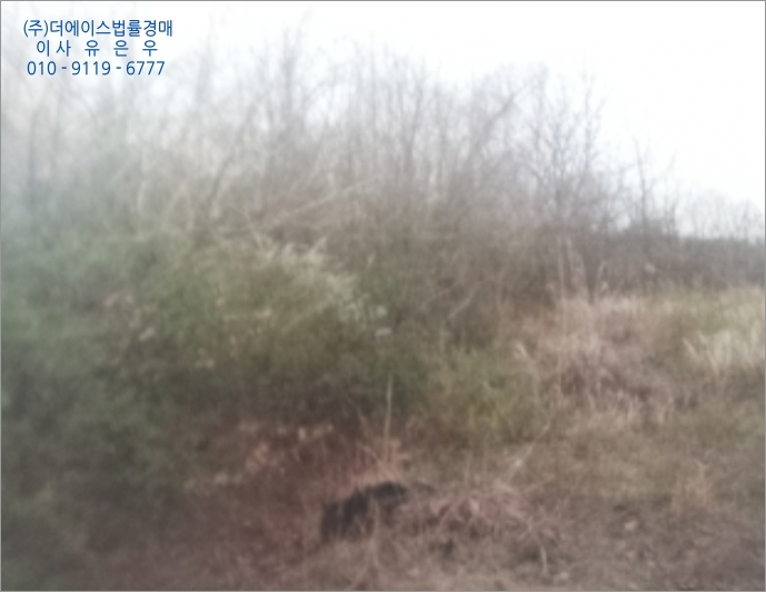 ♠ 안동시 토지임야경매♠ 경북 안동시경매경북 안동시 풍천면 도양리 870 2 경매 입찰문의 2015타경1454 더에이스