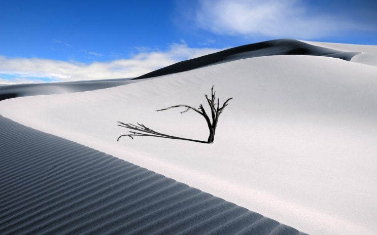 Le message / Jacques Prevert : 네이버 블로그