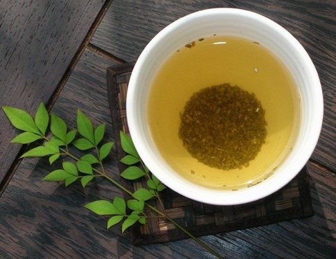 마테차효능 가을에는 꼭 알아야 합니다 : 네이버 블로그