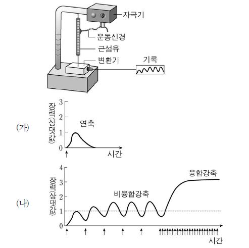 윌비스피엠디/최성윤 MEET/DEET 2013년도 생물추론 기출문제 55 : 네이버 블로그