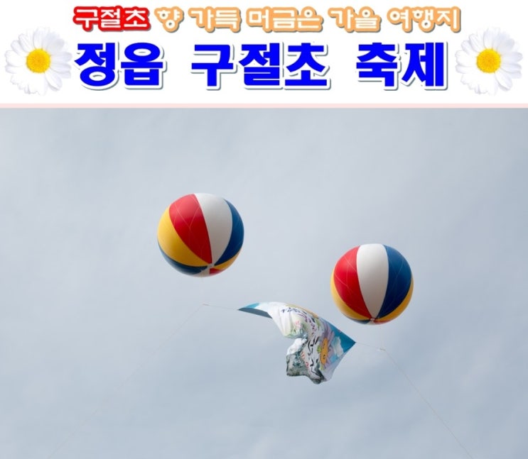 전북 정읍 가을 여행지 정읍 구절초 축제주말 셔틀버스 이용방법 네이버 블로그
