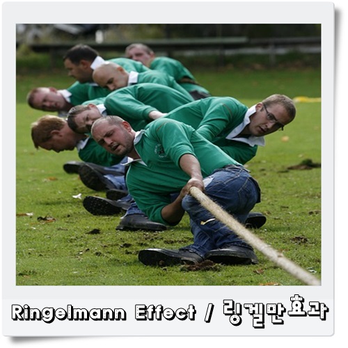 링겔만효과 (Ringelmann Effect) : 네이버 블로그