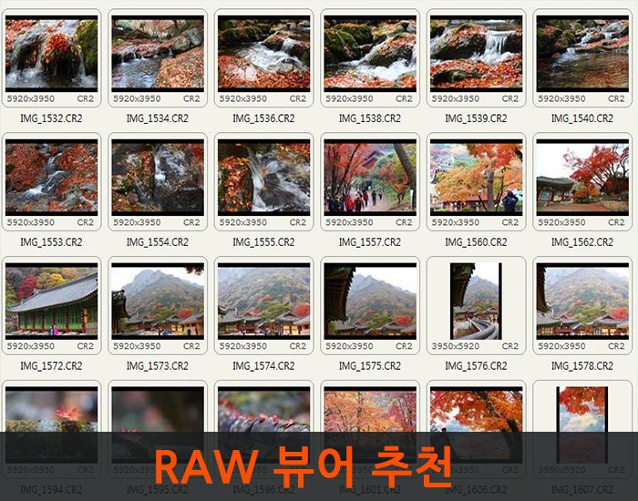 RAW 뷰어 faststone 속도 빠른 이미지뷰어 : 네이버 블로그