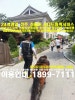 전주대심돌이 전주 전주대 심부름센터맛집배달퀵서비스터미널퀵서비스공항퀵서비스 전주대심부름 전주맘싱글맘워킹맘알뜰맘예비맘