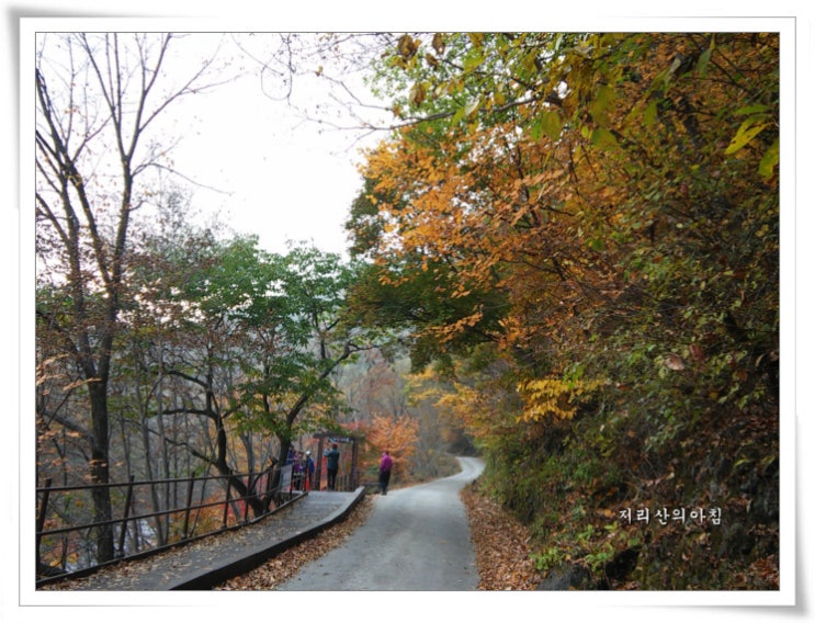 [지리산먹거리볼거리]지리산 뱀사골계곡 여행! 단풍이 절정일때 사과따기체험도 하고 아름다운 계곡도 걷는 만남은 어떠신가요 ...