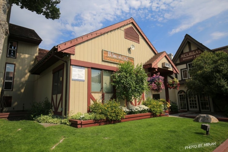 [캐나다록키여행] 캘거리에서 밴프, 밴프호텔 Homestead Inn Banff(홈스테드인밴프) : 네이버 블로그