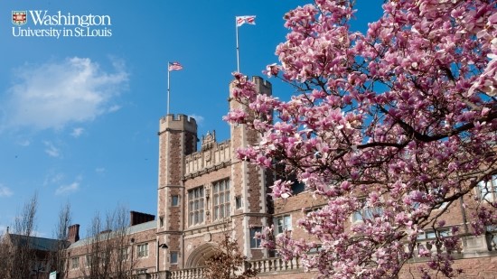 '석박사통합 과정'이란? - 미국 대학교 대학원 Ph.D.에 대해 : 네이버 블로그