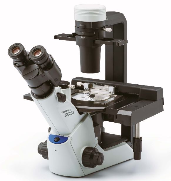 OLYMPUS CKX53 Inverted Microscope (올림푸스 CKX53 도립현미경) : 네이버 블로그